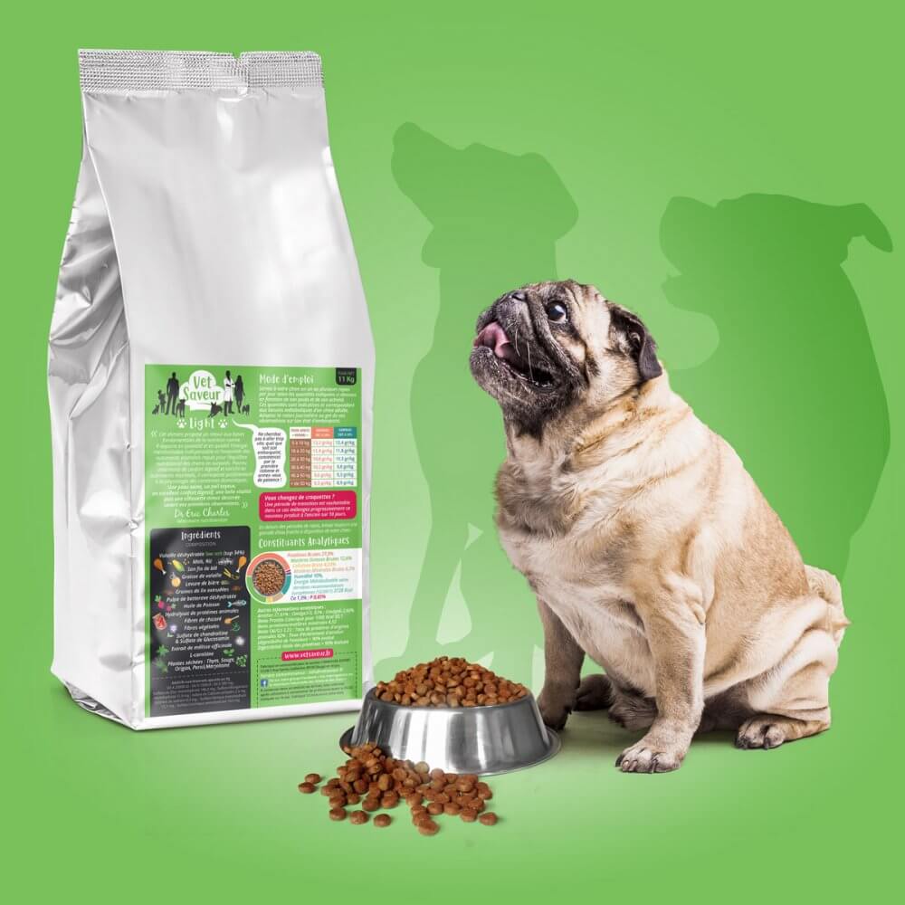 Croquettes pour chien | vetsaveur