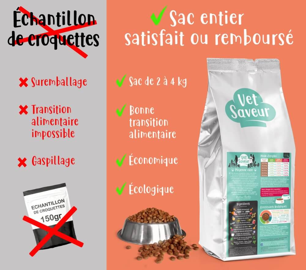 Mieux qu’un échantillon de croquettes chien chat VetSaveur | vetsaveur